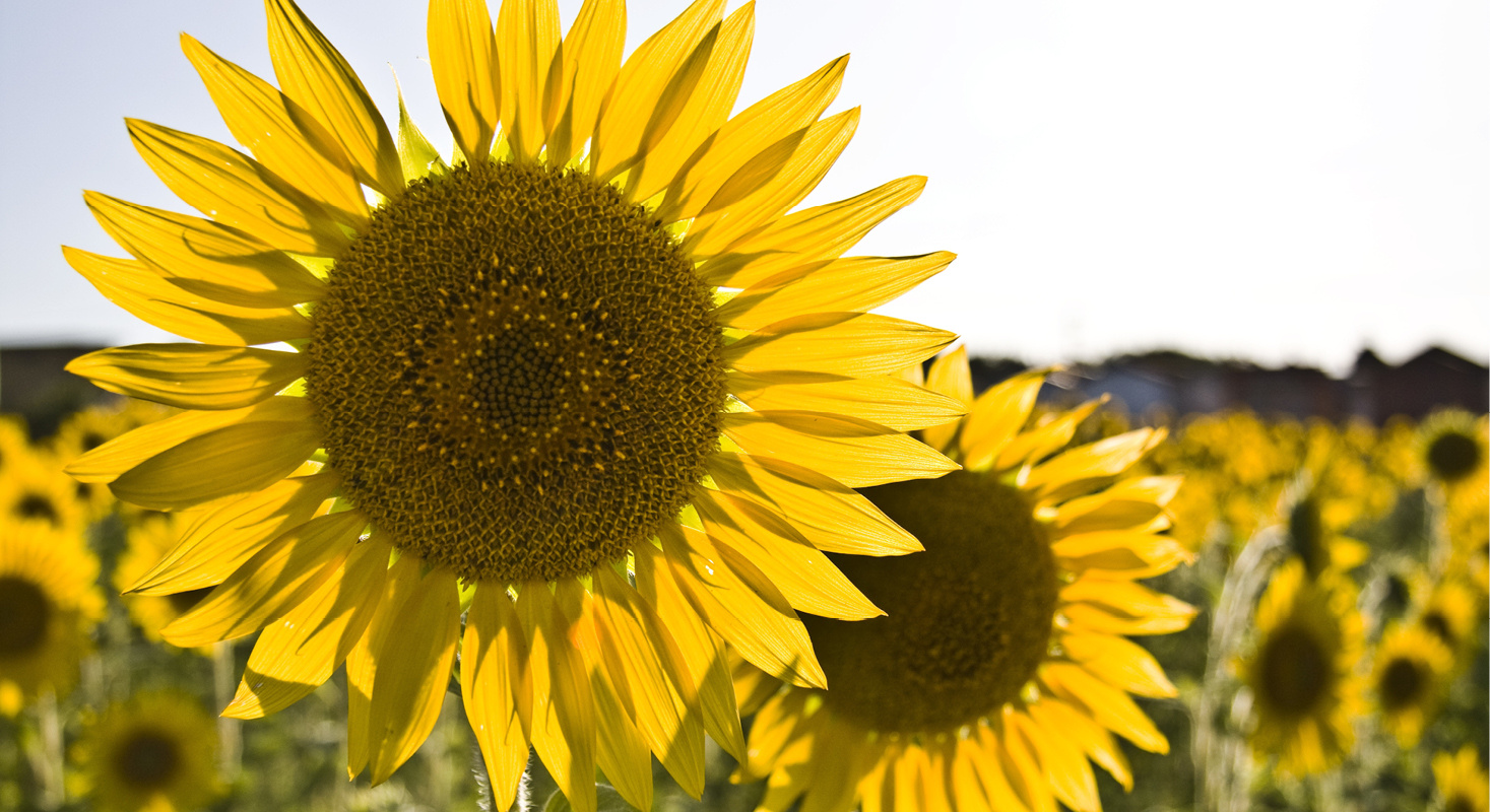 From Addiction to Confidence: A Kansas Comeback